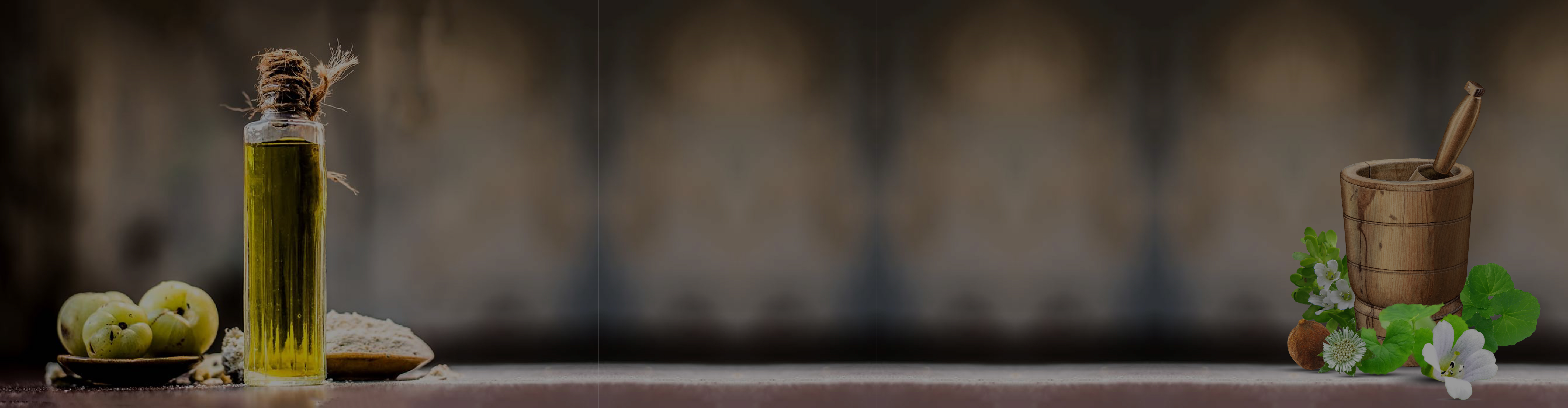 Index of /assets/images